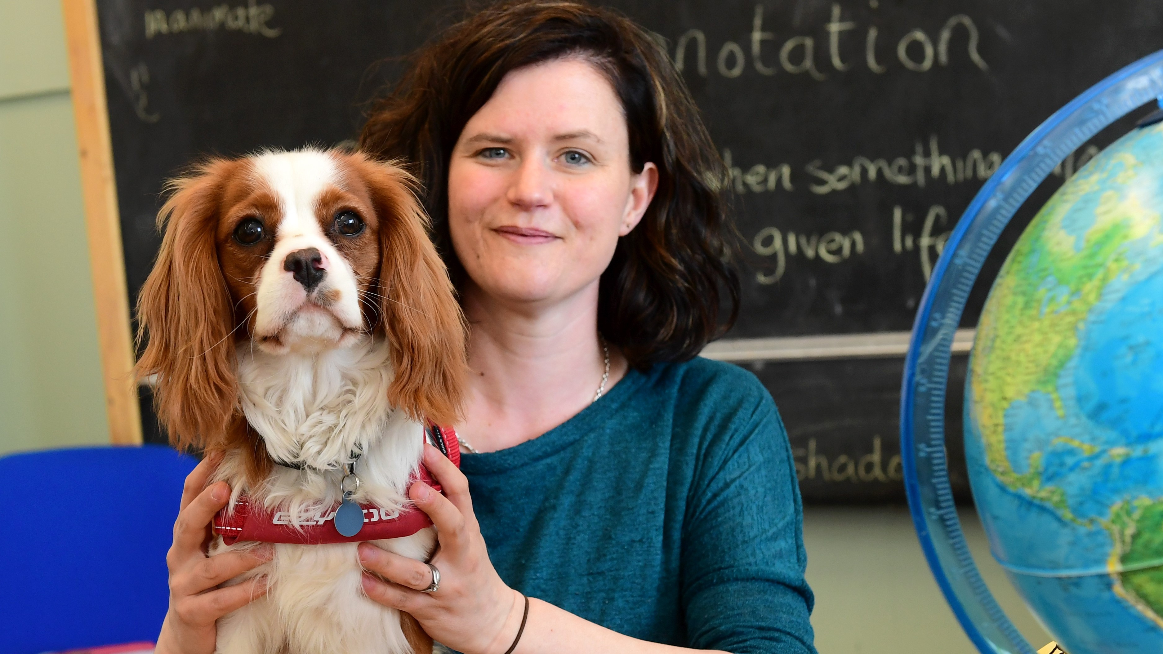 School Gets Puppy to Help Students – Bullymake Blog